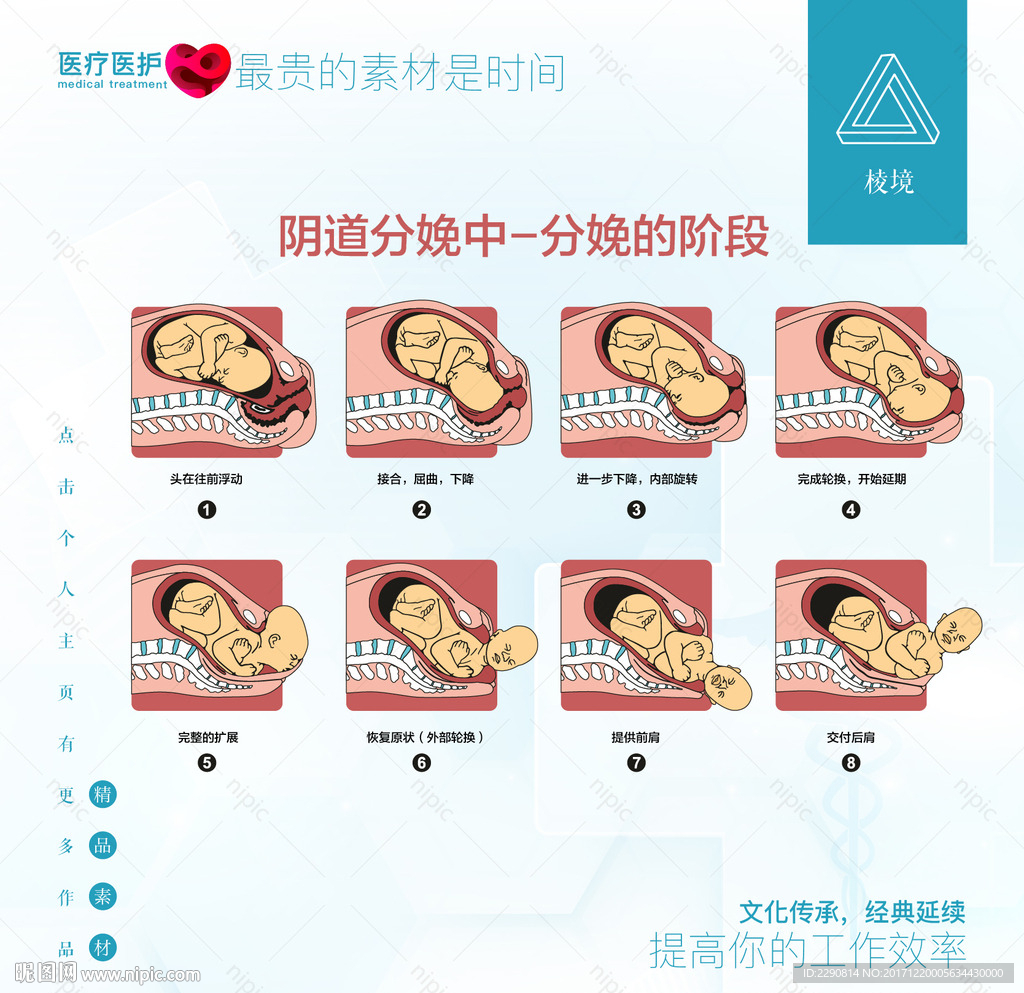 分娩阶段设计图 广告设计 广告设计 设计图库 昵图网
